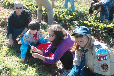 The National Jewish Committee on Scouting