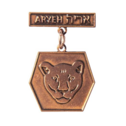Cub Scout Religious Emblems – The National Jewish Committee on Scouting